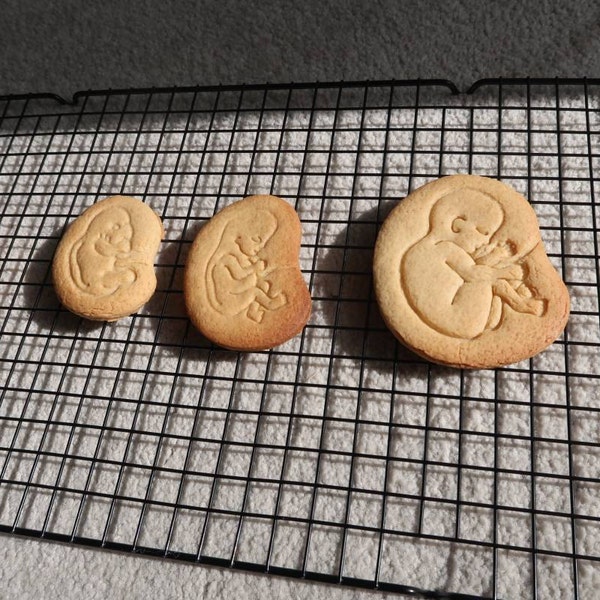 20-week Fetal Development Cookie Cutter: Pregnancy Announcement - Etsy