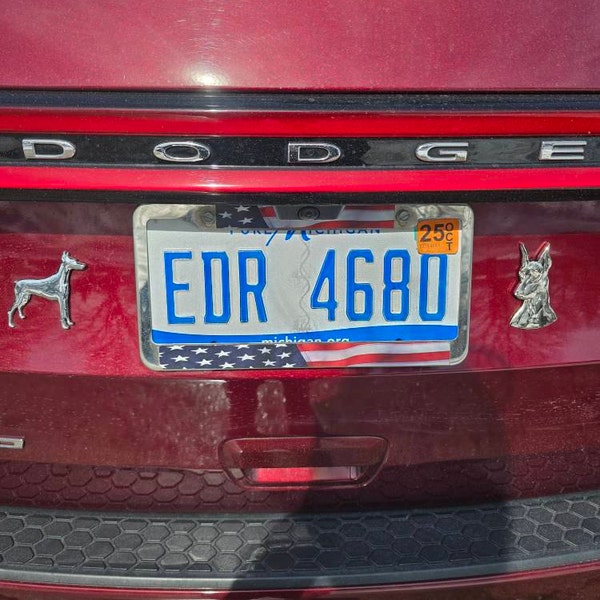 Medical Symbol Metallic Emblem, Badge, Decal, Nurse Practitioner ...