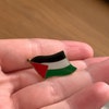 Palestine Pin Badge Palestine Fundraiser Gaza Badge Palestine Enamel ...