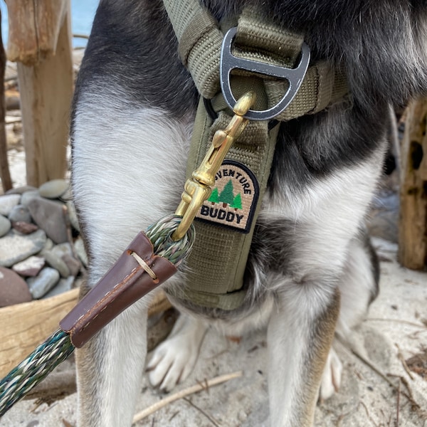 Adventure Buddy Patch for Dogs | Iron-on | Velcro - Etsy