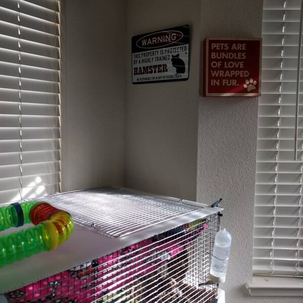 Hamster Sign,funny Hamster Sign,hamster Accessories,hamster,warning ...