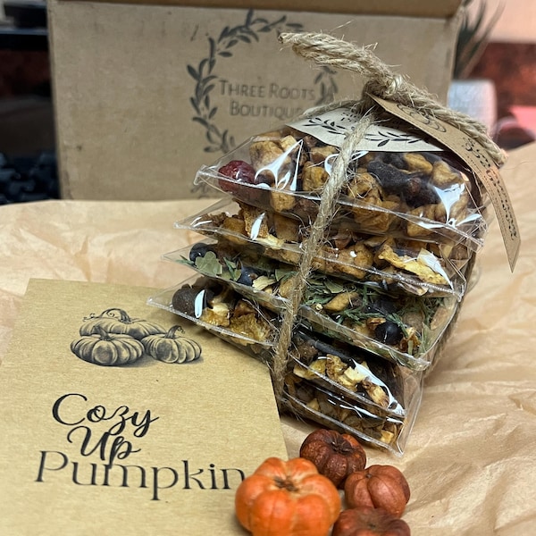 Set of 5 Simmering Potpourri in Bags Comfort Set - Etsy