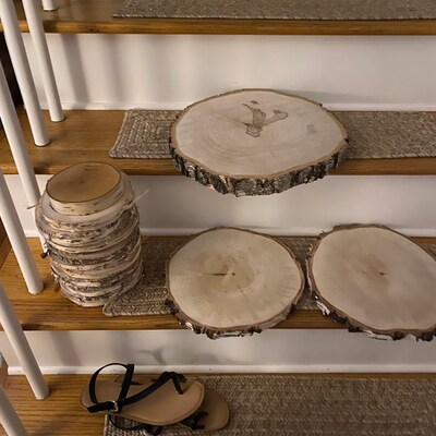 10 PCS Large Slices Wooden Slices Rustic Wood Slices for DIY Birch Tree ...