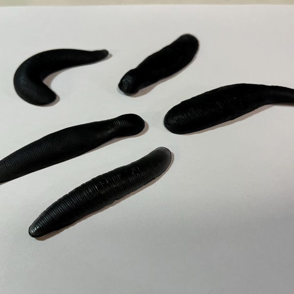 Larp Safe Rubber Leeches, Larp Medic, 5 Pack, Leach Healer, Plague ...