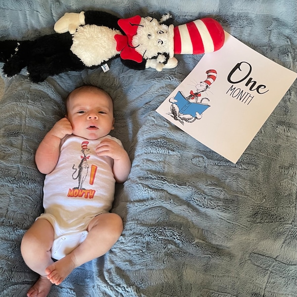 Dr Seuss Poster | Dr Seuss Books | Cat in the Hat | Preschool Wall ...