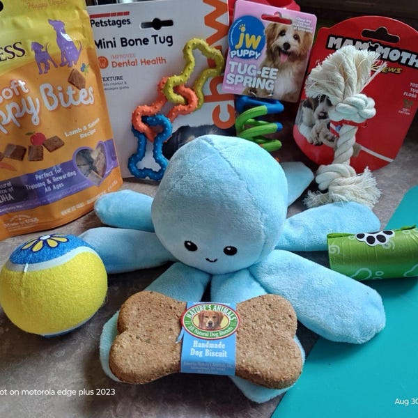 Double Pup Parcel - Doggy Gift Box - EIGHT Toys/treats! - Etsy