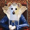 Dog Portrait Female. Your Pet as Queen Princess or Lady - Etsy