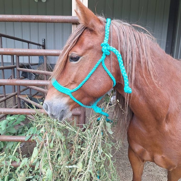4-knot Rope Halter Only - Assorted Colors - Newborn/foal/mini/yearling/weanling/arabian/average ...