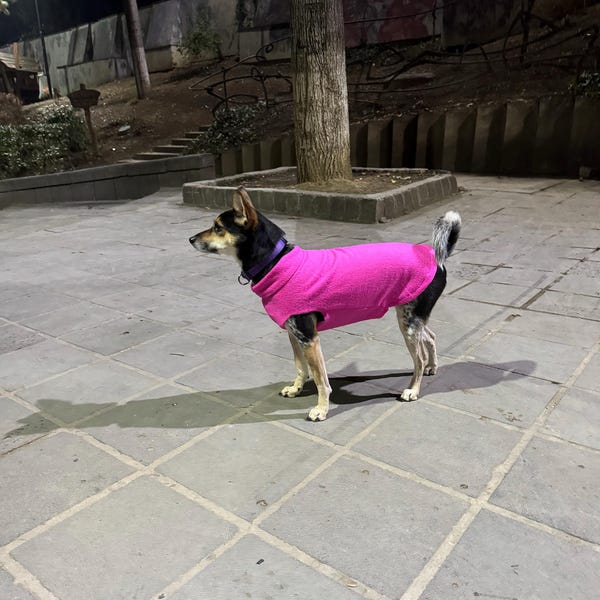 Dog Fleece Polo PDF Sewing Pattern Sizes XXS to 3XL (8 Sizes) Instant ...