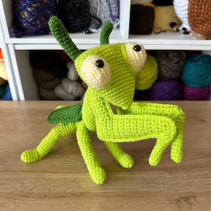 Praying Mantis Crochet Pattern, Amigurumi Mantis PDF File in English ...