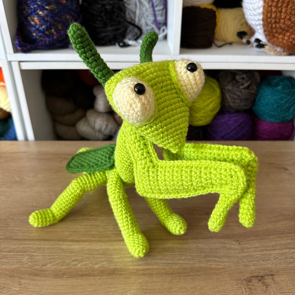 Praying Mantis Crochet Pattern, Amigurumi Mantis PDF File in English ...