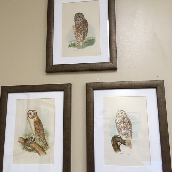 Juniata Park Map, Northeast Philadelphia Map, Fairhill Map, Original ...