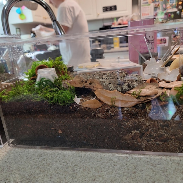 Feed/mist Port Vents for Isopods, Millepedes, Spiders and Many Other ...