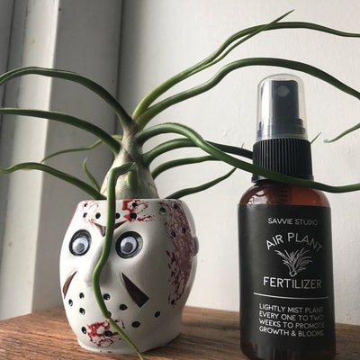 Air Plant Fertilizer, Tillandsia Airplant Fertilizer, Indoor Plant ...