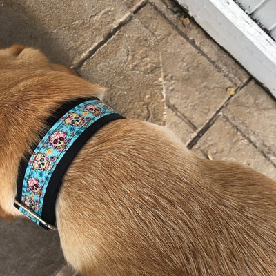 Progress Pride Flag Printed Grosgrain Ribbons 1-1/2 Inch,7/8 Inch,5/8 ...