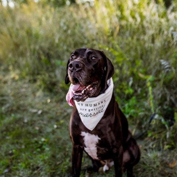 The Big ONE Shirt, Surfer Themed Party, Wave, First Birthday, Bday Boy ...