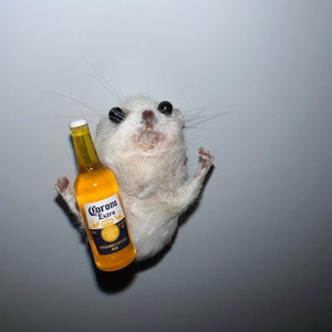 Cunning Linguist Mice - Etsy