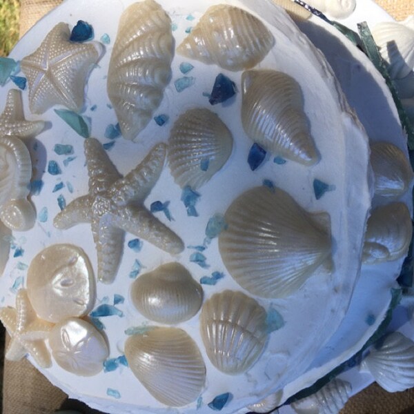 White Chocolate Pearlized Shells Half Pound Decoration Package, Approx ...