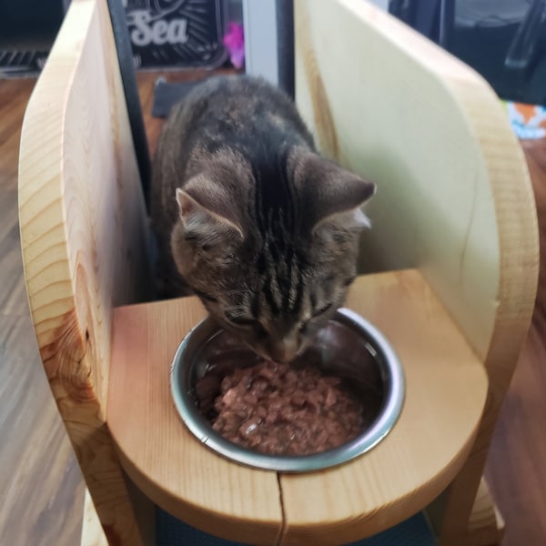 Pate's Feeder *the Original* Feeding Solution for Cats With Cerebellar ...