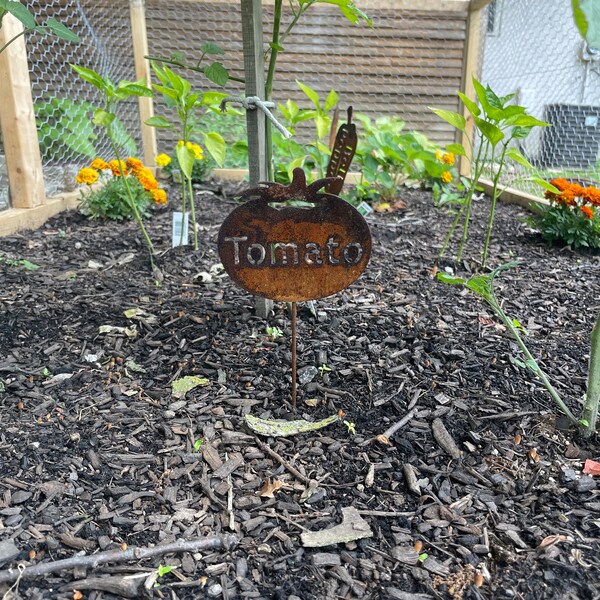 Cuts of Beef Rustic BBQ Cow Metal Farm Signs BEEF - Etsy
