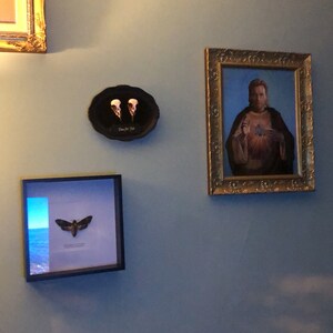 Framed Magpie Skull 3D Gothic Wall Art Halloween Home Decor - Etsy UK