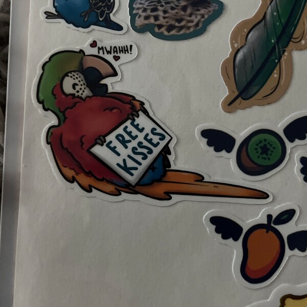 Blue Crowned Conure Sticker Sheet Premium Matte Vinyl Sticker Sharp ...