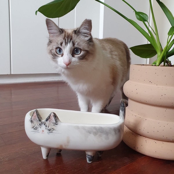 Ceramic Cat or Pet Planter Personalizated, Oval Shape and Four Legs ...