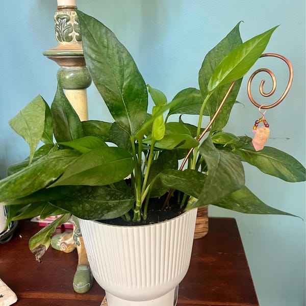 Evil Eye Copper Plant Trellis / Evil Eye Decor / Crystal Plant Trellis ...