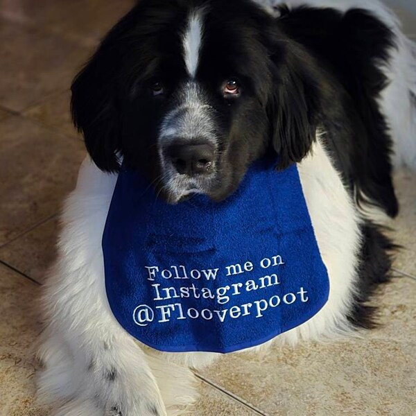 Big Dog Slobber Drool/slobber Bibs 2 Designs - Etsy