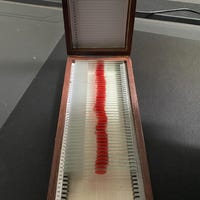 Dexter Blood Slide Box Mahogany - Etsy UK