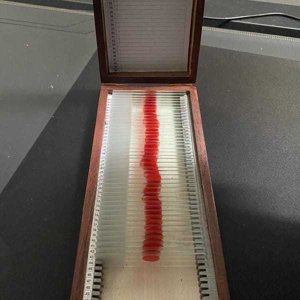 Dexter Blood Slide Box Mahogany - Etsy Australia