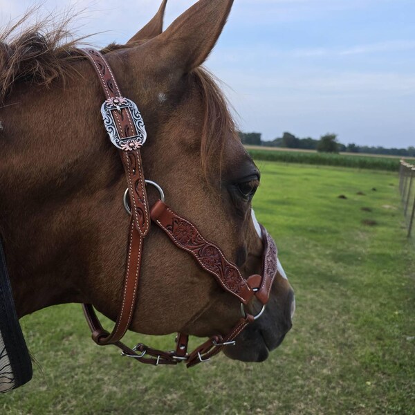 1-1/2" Engraved Border Railroad Police NPBP Screw-back Concho - Etsy