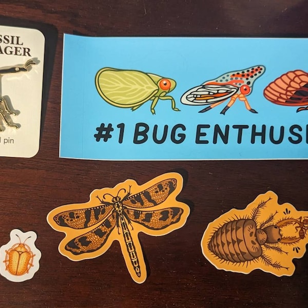 Number 1 Bug Enthusiast BUMPER Sticker / Car Sticker / Entomology ...