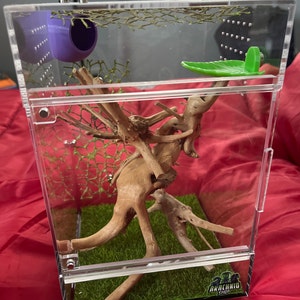 Magnetic Jumping Spider Mantis Staircase - Etsy