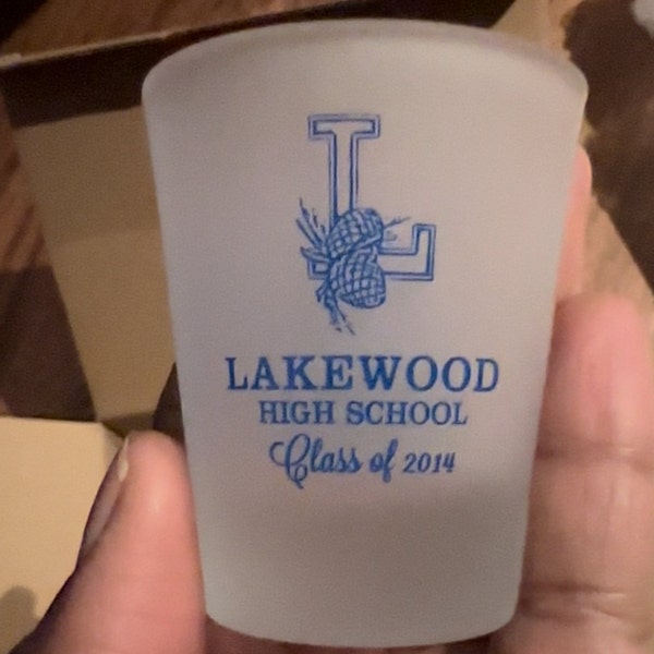 High School Reunion Shot Glasses, Class of 2016 Reunion, 10 Year ...