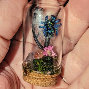 Mini Opal Moon Terrarium - Etsy