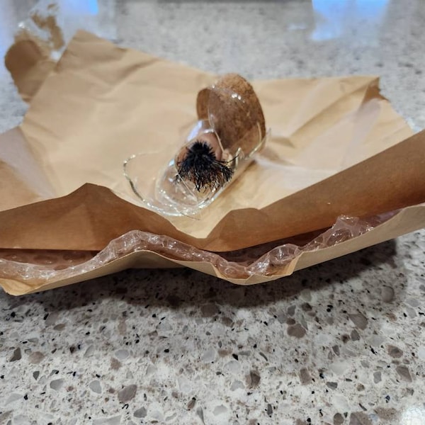 Beetlejuice Collection, Clay Figurines, Terrarium, Handmade, Shrunken ...