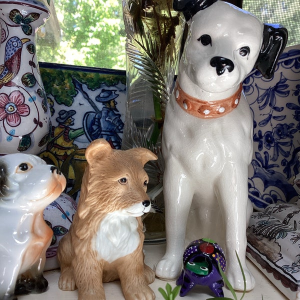 Otoe Indian Woman, Historical, Antique Photo, Circa 1907, Recognized ...