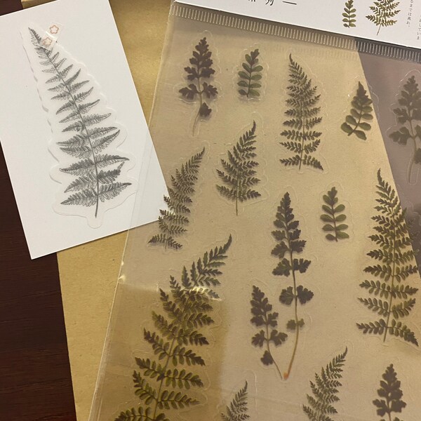Transparent Botanical Flower Plant Sticker Sheets, Eucalyptus Fern ...