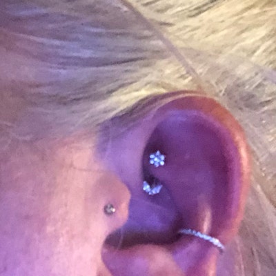 16G Silver Flower Sparkle Curved Barbell/rook Earring/eyebrow Ring/rook ...