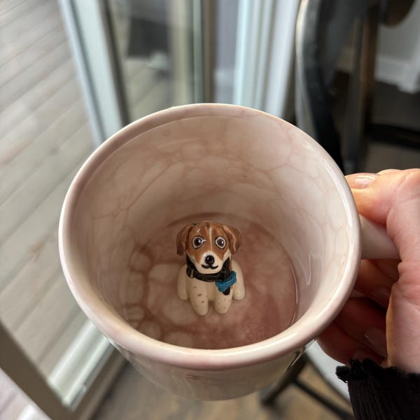 Ceramic Coffee Mugs With Cozy Home and Cat 17ounces Handmade Cat Mug ...