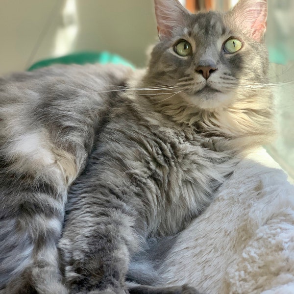 Medium Urn, Ice Blue, Handmade Ash Keeper Capacity 162 Cubic Inches 8 ...