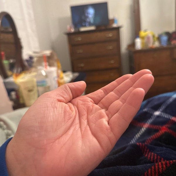 Cute Dogs Decal, Dog Decal, Doggie Decal, Dog Decor, Dog Sticker, Dog ...