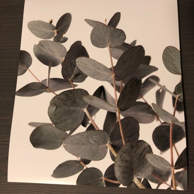 Eucalyptus Print, Art Print, Artwork, Eucalyptus Leaves, Print, Wall ...