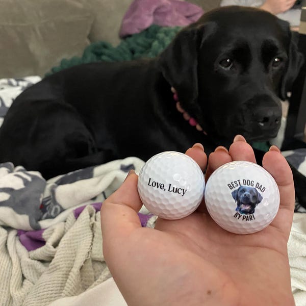 Custom Golf Balls, Dad Golf Ball, Dog Face Golf Balls, Custom Dog Gift ...
