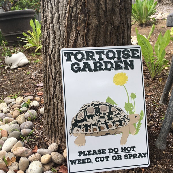 Bamboo Bookends & Stationery | 3D Printed Plant | House Plant Sticky ...