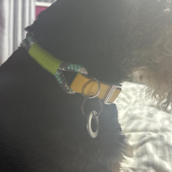 Adjustable Dog Rope Collar (made to Order) - Etsy