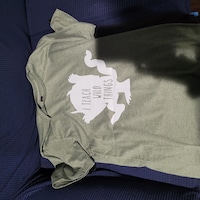 Postal Worker Shirt, Mailman Mail Lady Shirt, I'm Into Fitness This ...