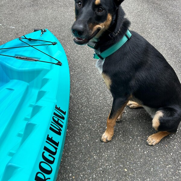 Bounce House Decals Moon Bounce Stickers Large Vinyl Decals 50 Inch ...