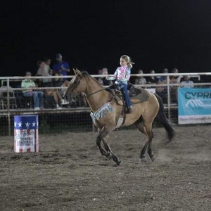 Leadline Set Colors Zip Shirt Collar Western Pleasure Rail | Etsy